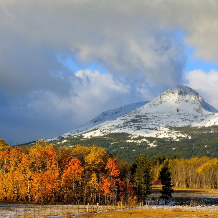 Where to Go for Fall Colors in Montana | Recommended By Montanans