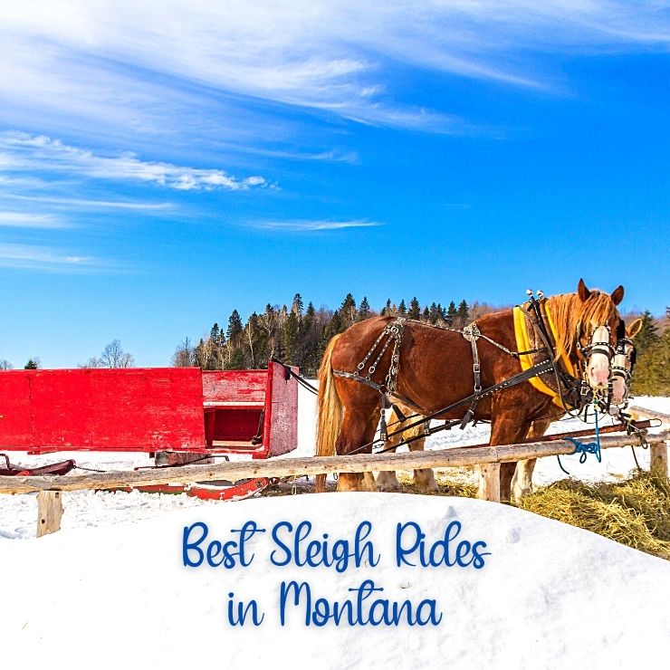 Where to Take a Winter Sleigh Ride in Montana - Travel Montana Now